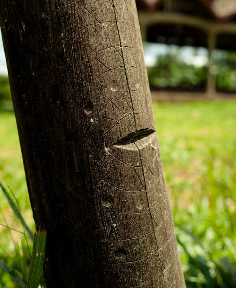 Épisode 7 : Piste Foumban-Jakiri - Bamessing - Chefferie Bafut ...